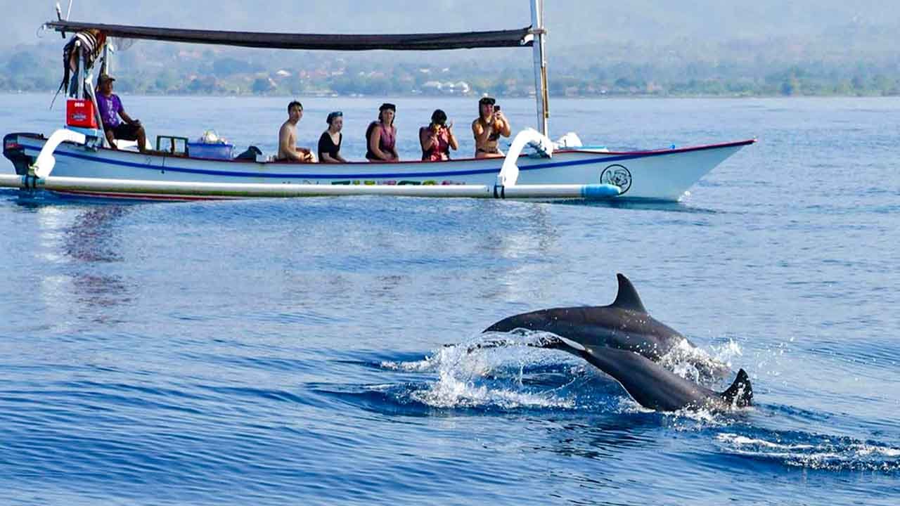lovina dolphin watching Bali Rhapsody Tour I Let Bali’s beauty and spirit enchant you Bali ...